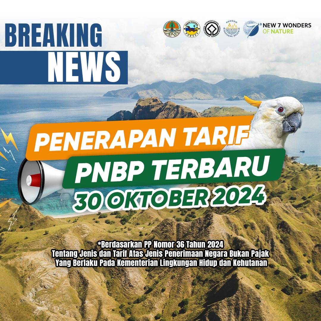 Komodo National Park The World's Hidden Paradise - Official Website